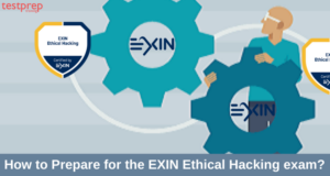 How to Prepare for the EXIN Ethical Hacking exam? - Blog