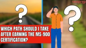 Which Path Should I Take After Earning the MS-900 Certification? - Blog